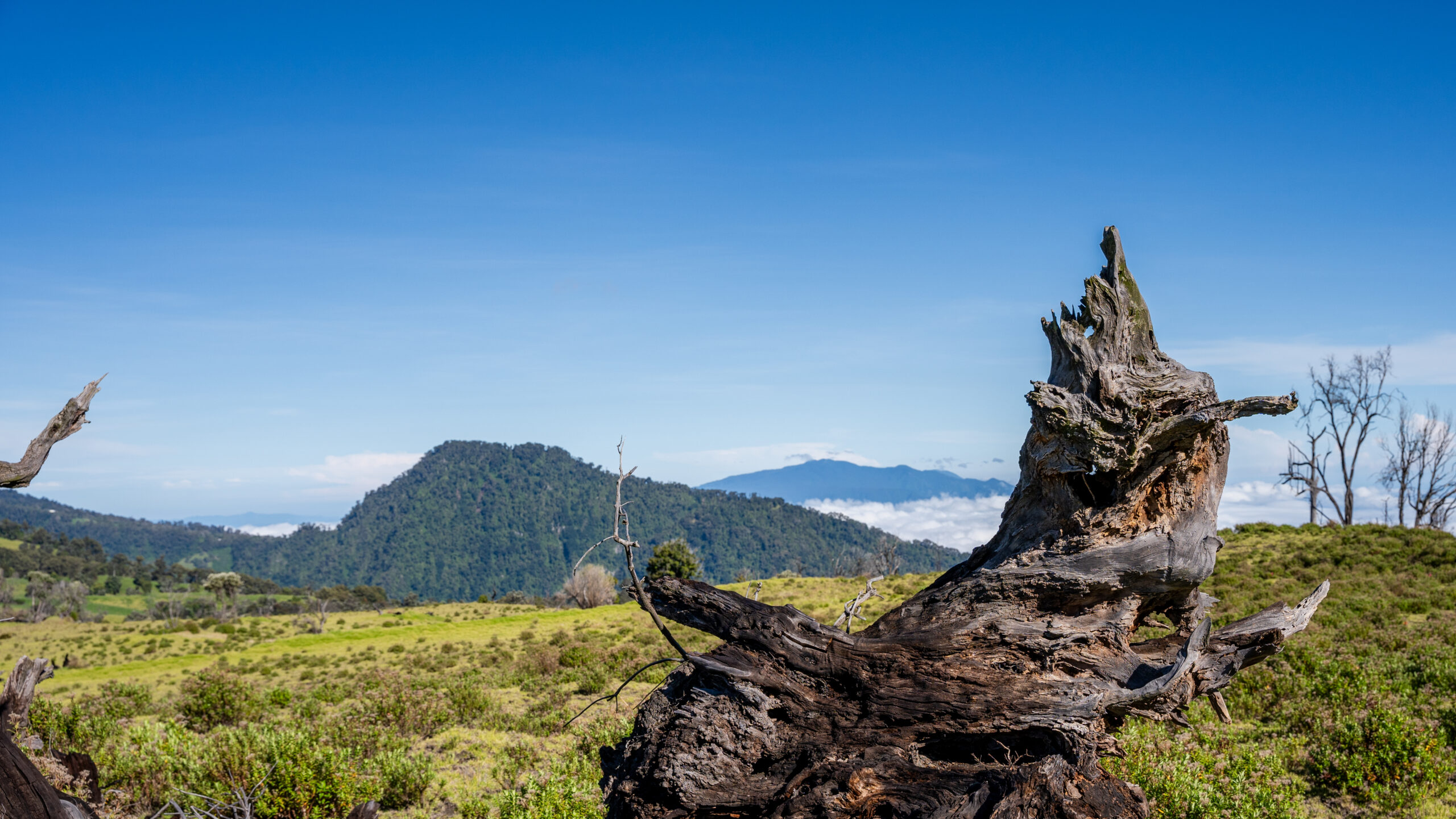 Descubre Turrialba - Trailvulcania